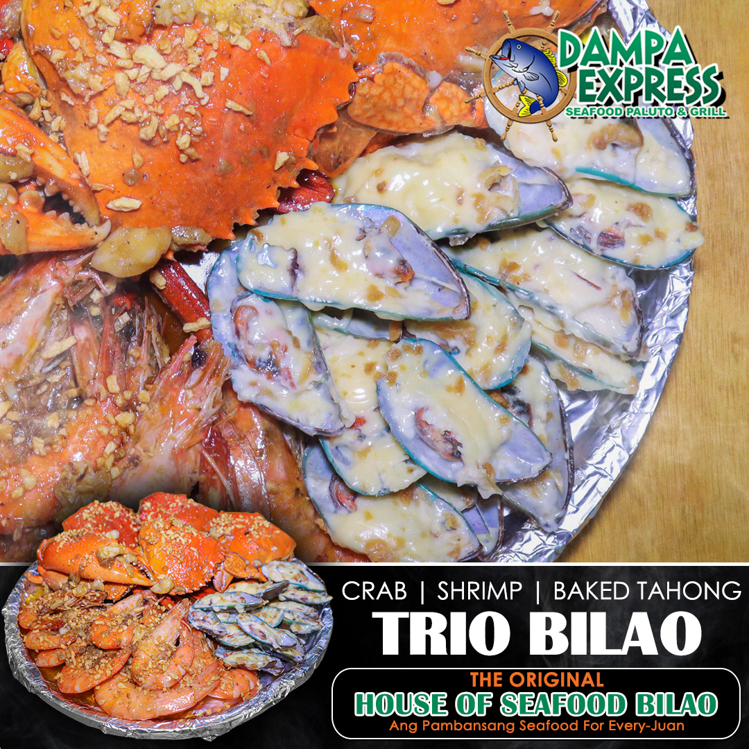 Dampa Express | An Extraordinary in the New Normal – ModernJournalTrends