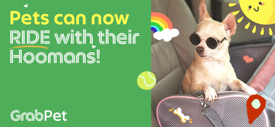 ICYMI: Grab reintroduces GrabPet, delights Filipino pet parents ...