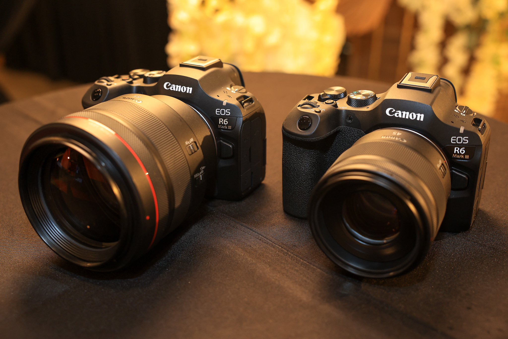Canon Philippines Celebrates Uncompromised Storytelling with EOS R6 ...
